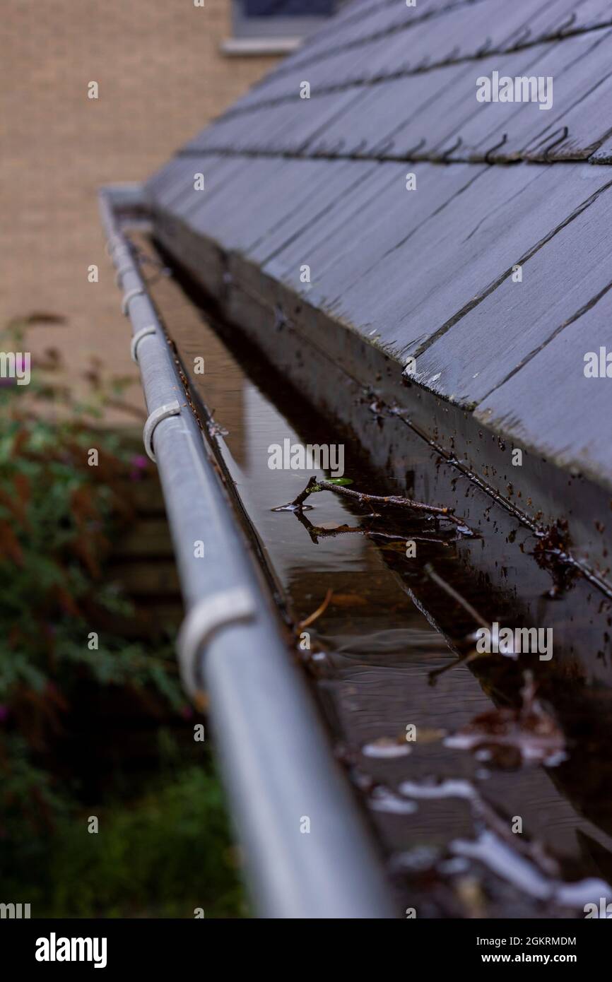 A portrait of a clogged roof gutter full of rain water during a rainy ...