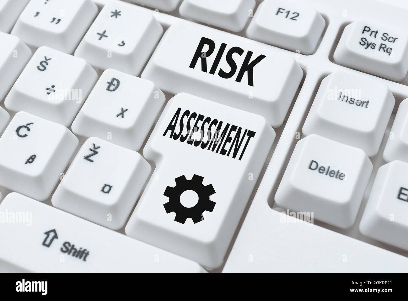 Conceptual display Risk Assessment. Internet Concept estimation of the ...