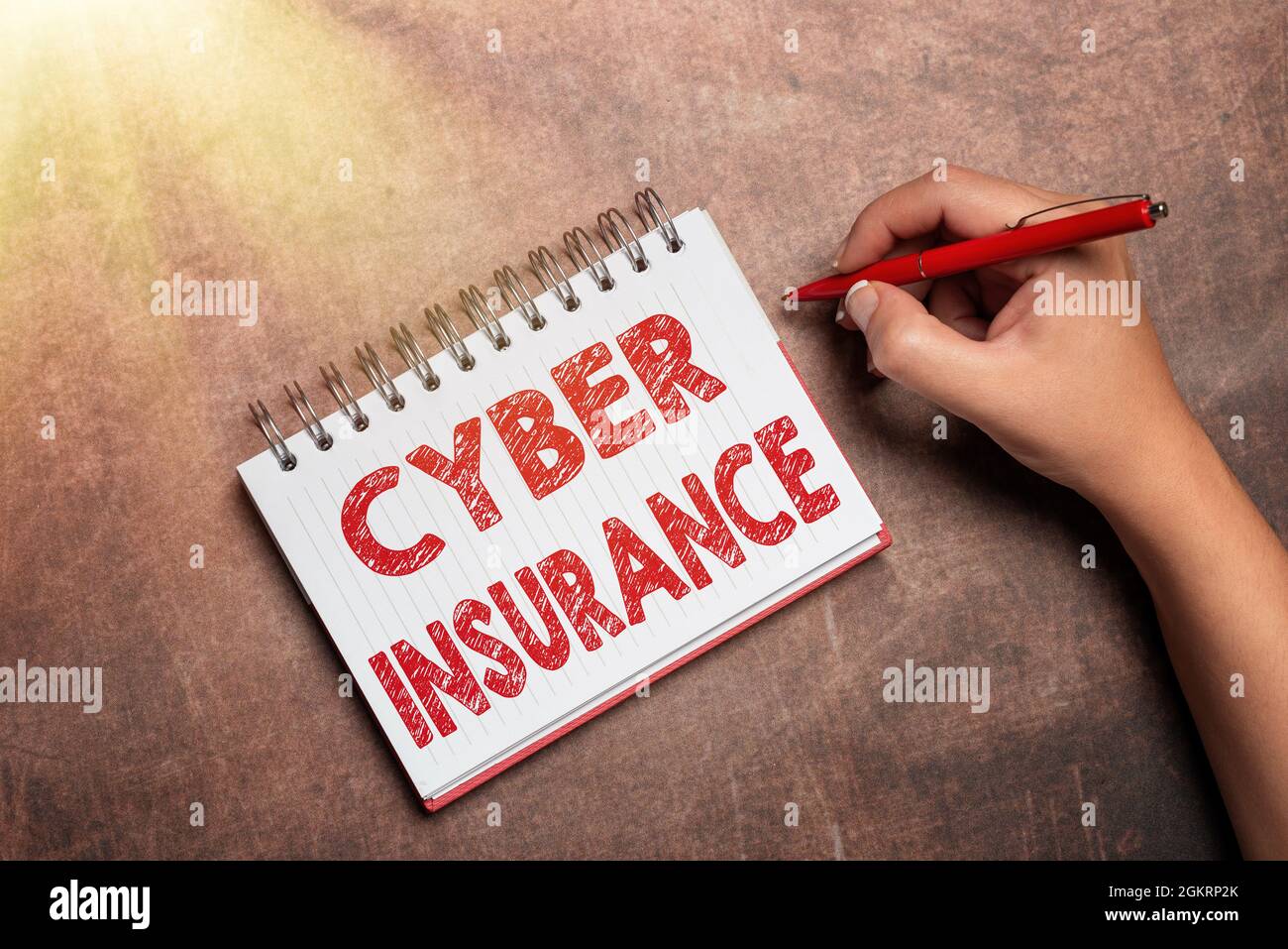 Sign displaying Cyber Insurance. Word for protect business and users ...