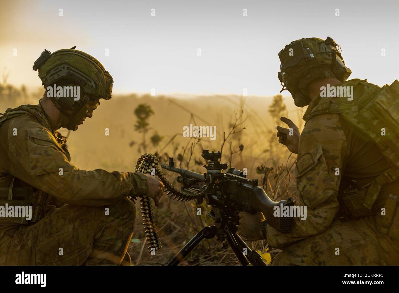 Royalty Camo Advanced Warfare