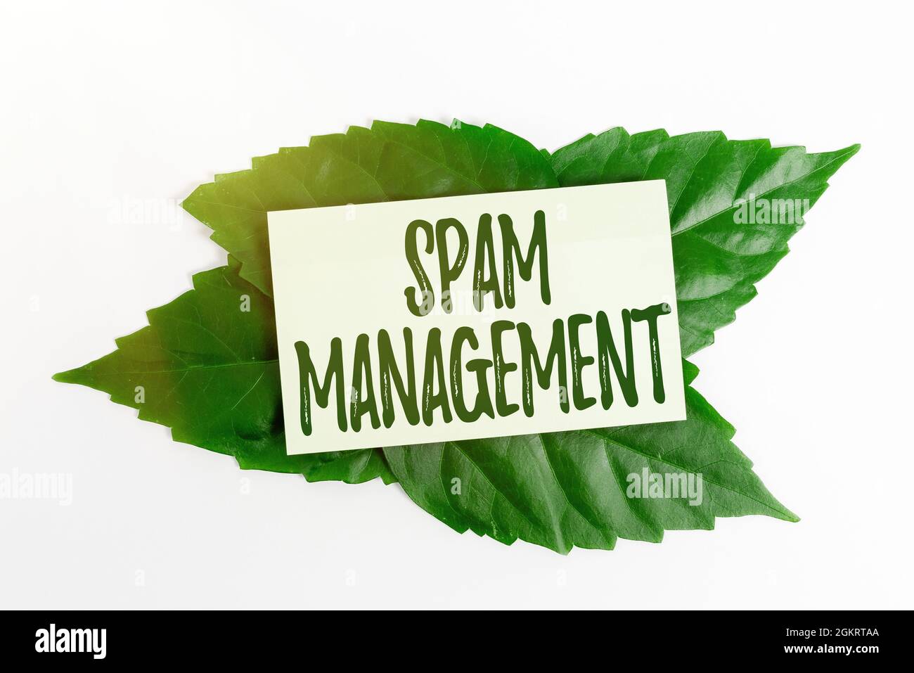 Inspiration showing sign Spam Management. Word Written on help reduce ...