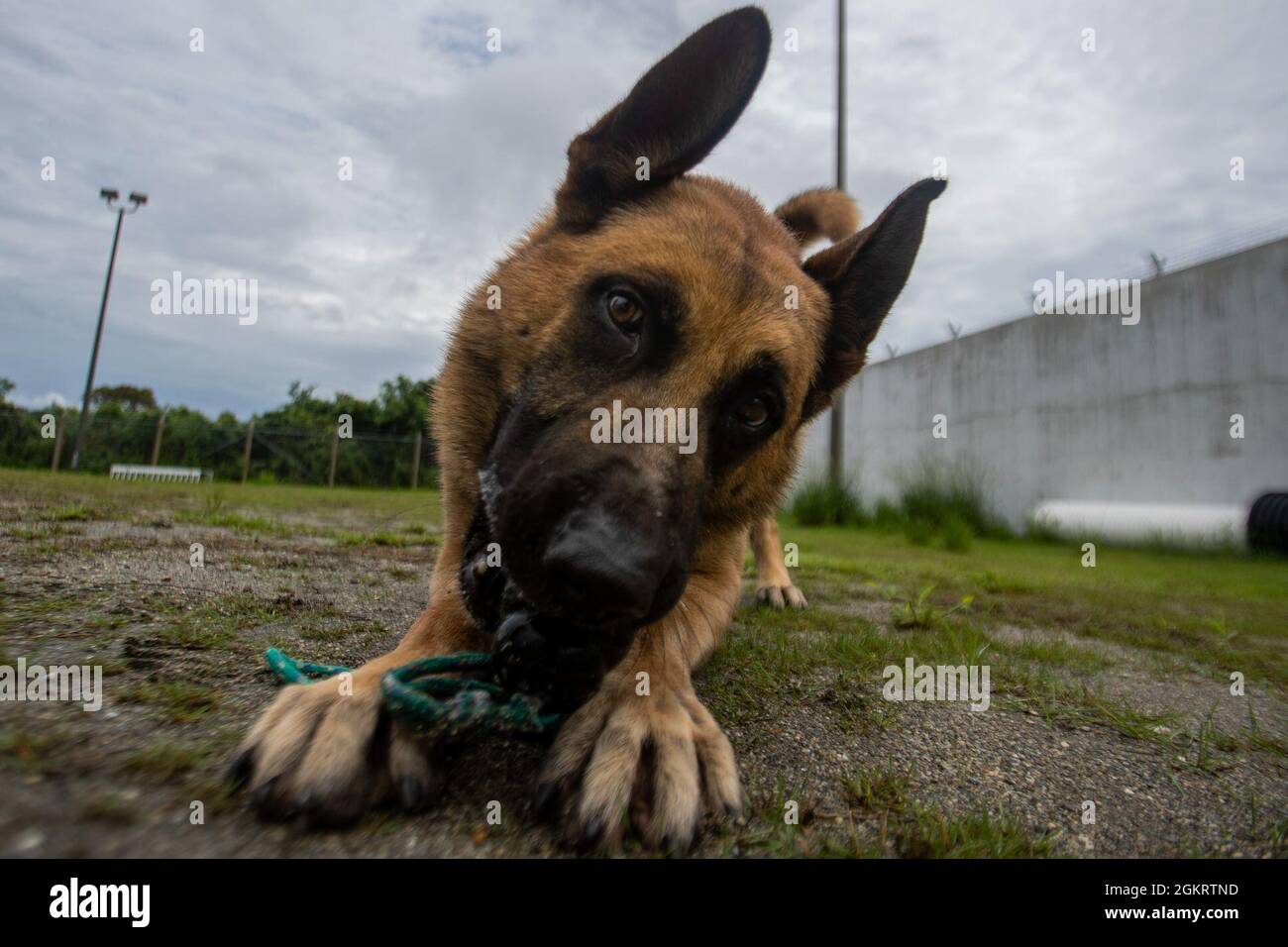 Marine corps base camp smedley d butler hi-res stock photography and ...