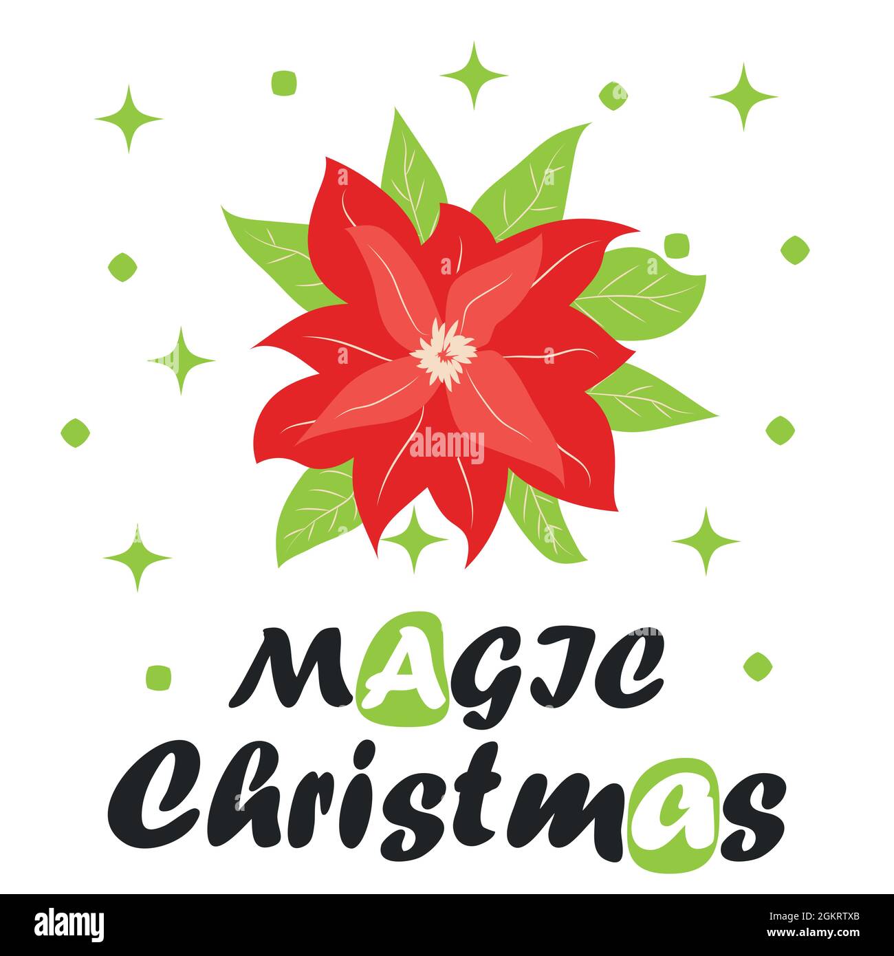Traditional Christmas poinsettia flower with green leaves and red ...