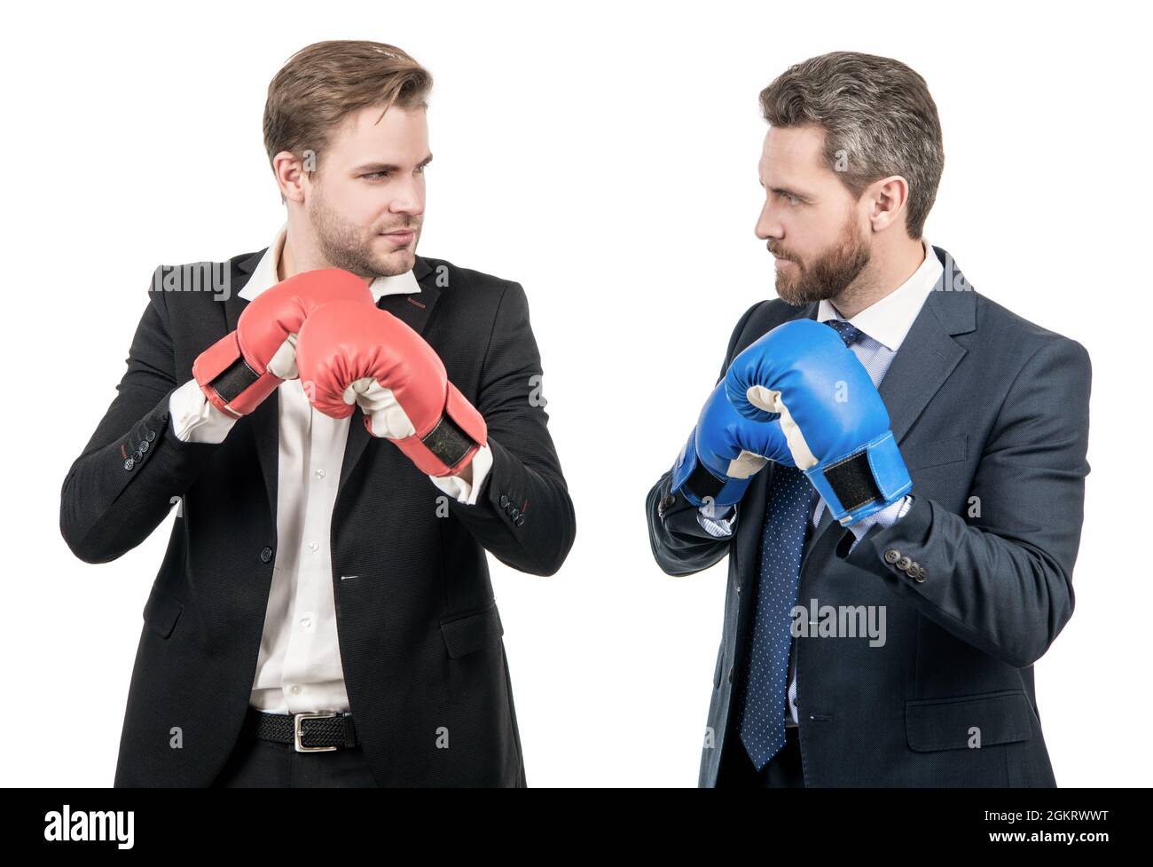 punching for leadership. successful ceo boxers. relentless struggle and ...