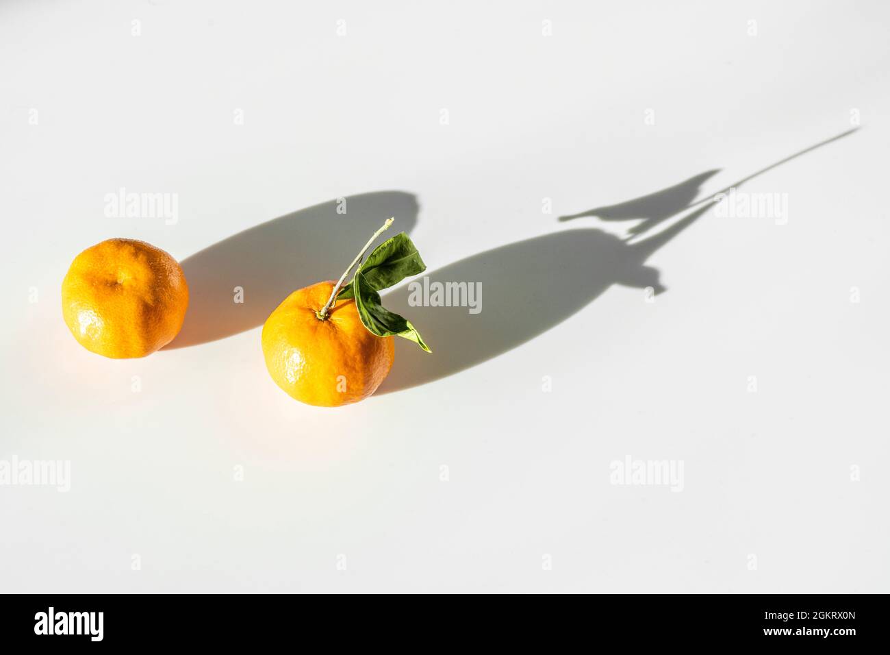 Two tangerines in the sun casting an elongated shadow on a white studio ...