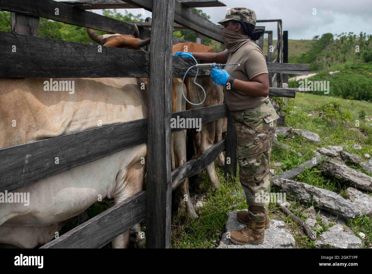 U.S. Army Capt. Shanell Thomas, a veterinarian with the 109th Medical ...