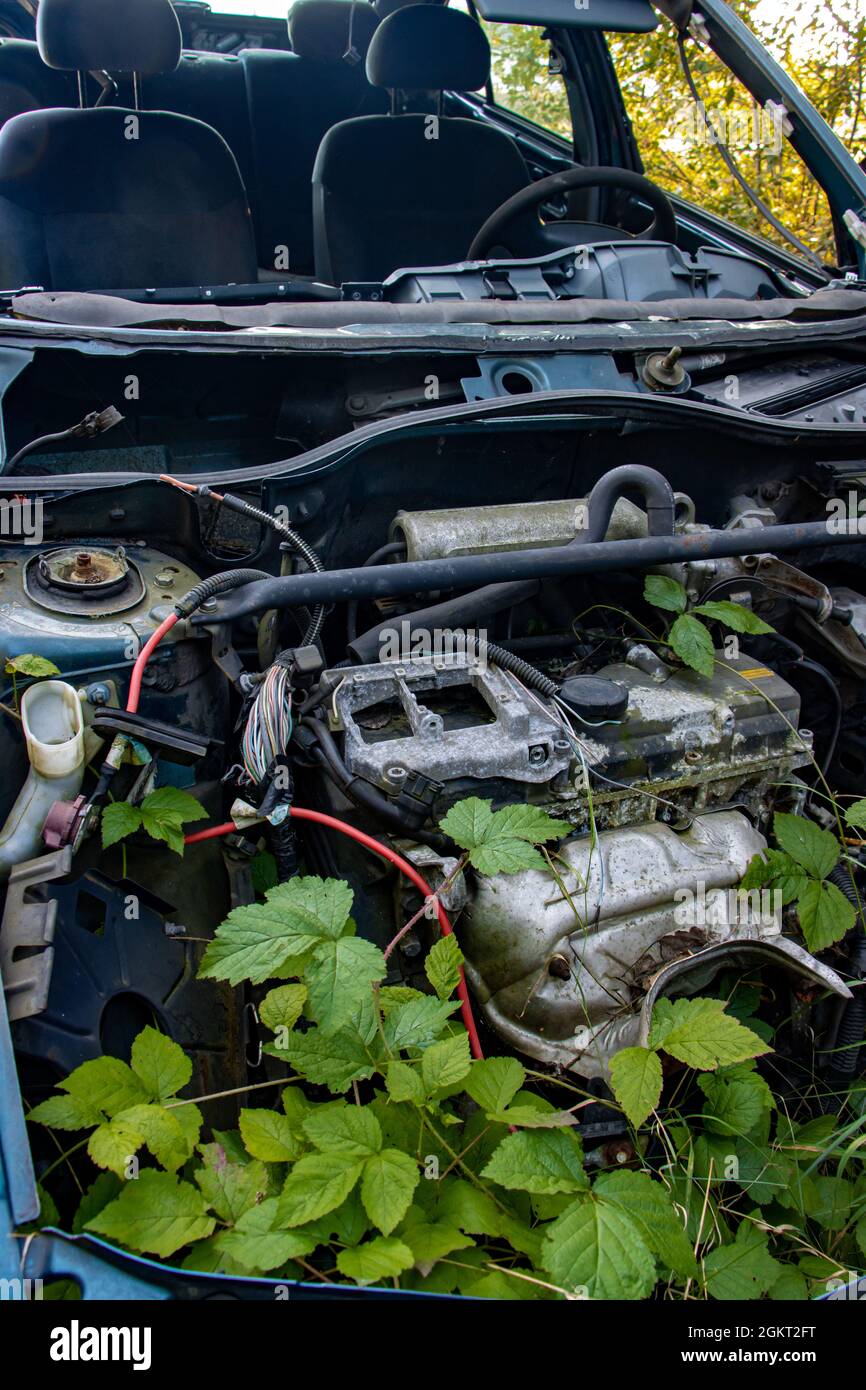 Plants grow through the engine of a damaged car Stock Photo - Alamy