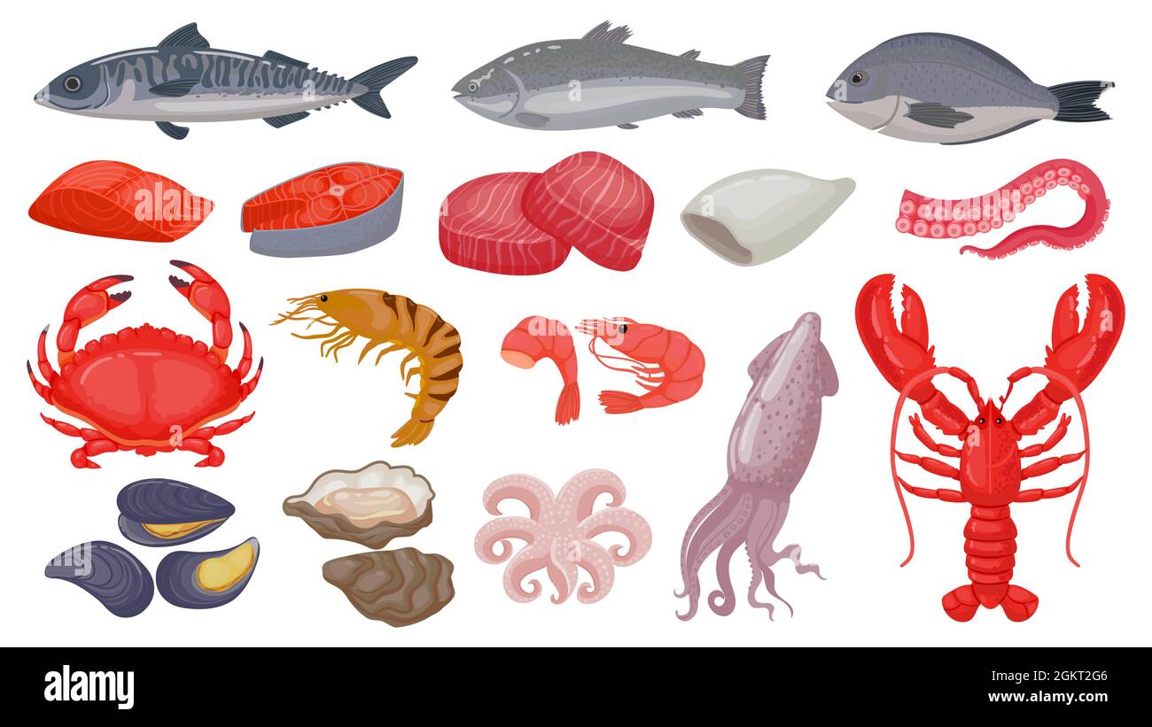 Cartoon raw seafood, fish, fresh salmon, lobster and squid. Ocean ...