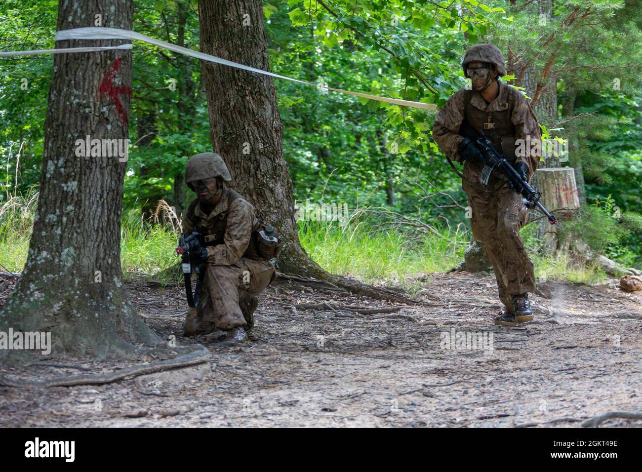 Tactical concealment hi-res stock photography and images - Alamy