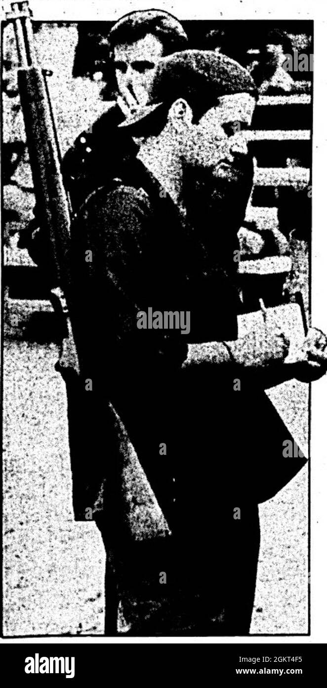 Harold ramis bill murray stripes hi-res stock photography and images ...