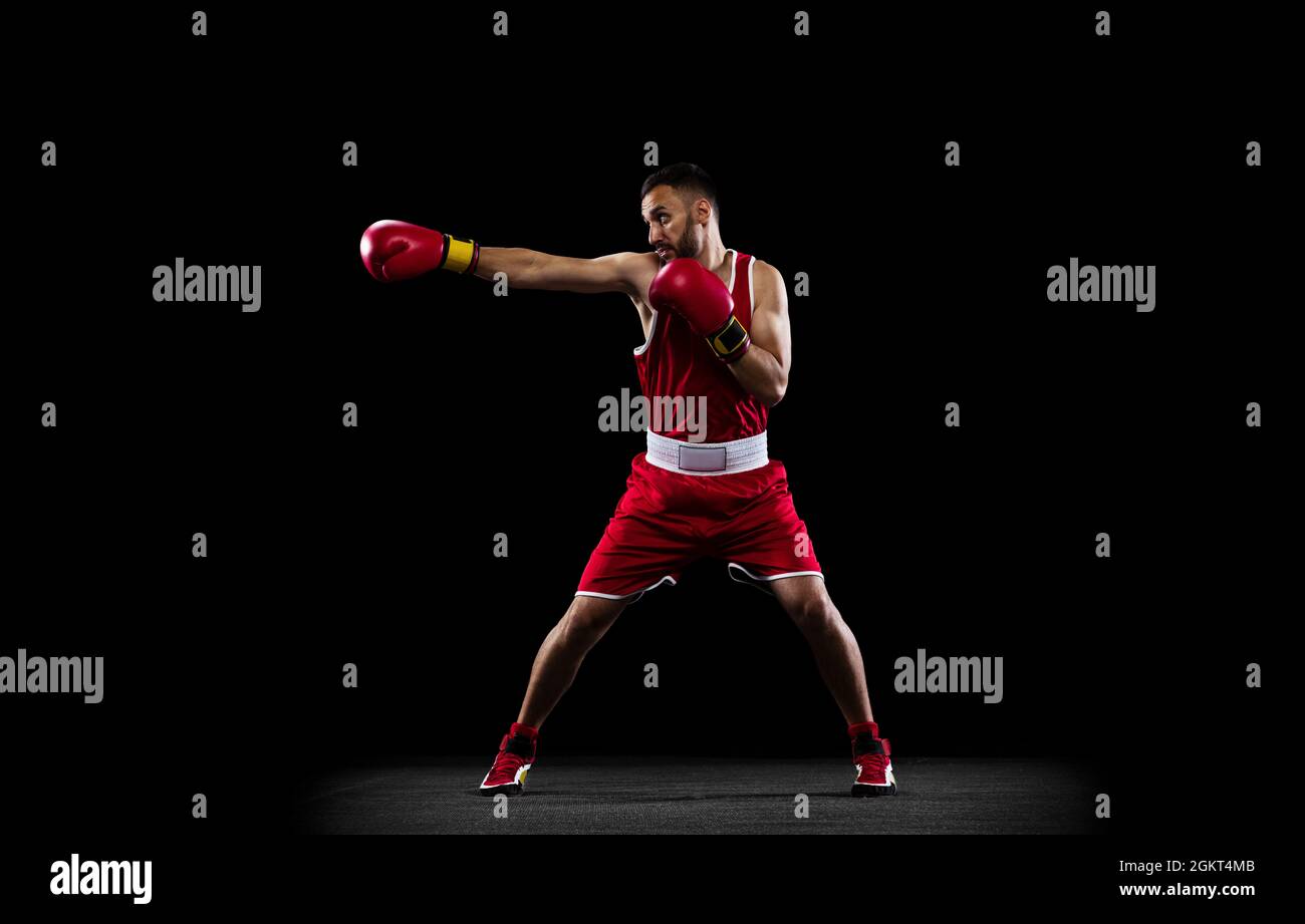 Full-length portrait of one professional boxer in red uniform training ...