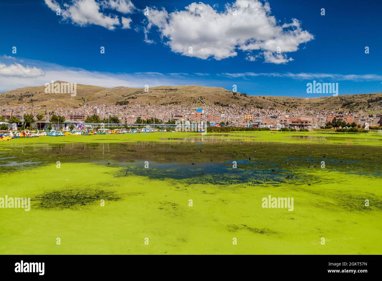 Harbor in Puno with the city in the background, Peru Stock Photo - Alamy