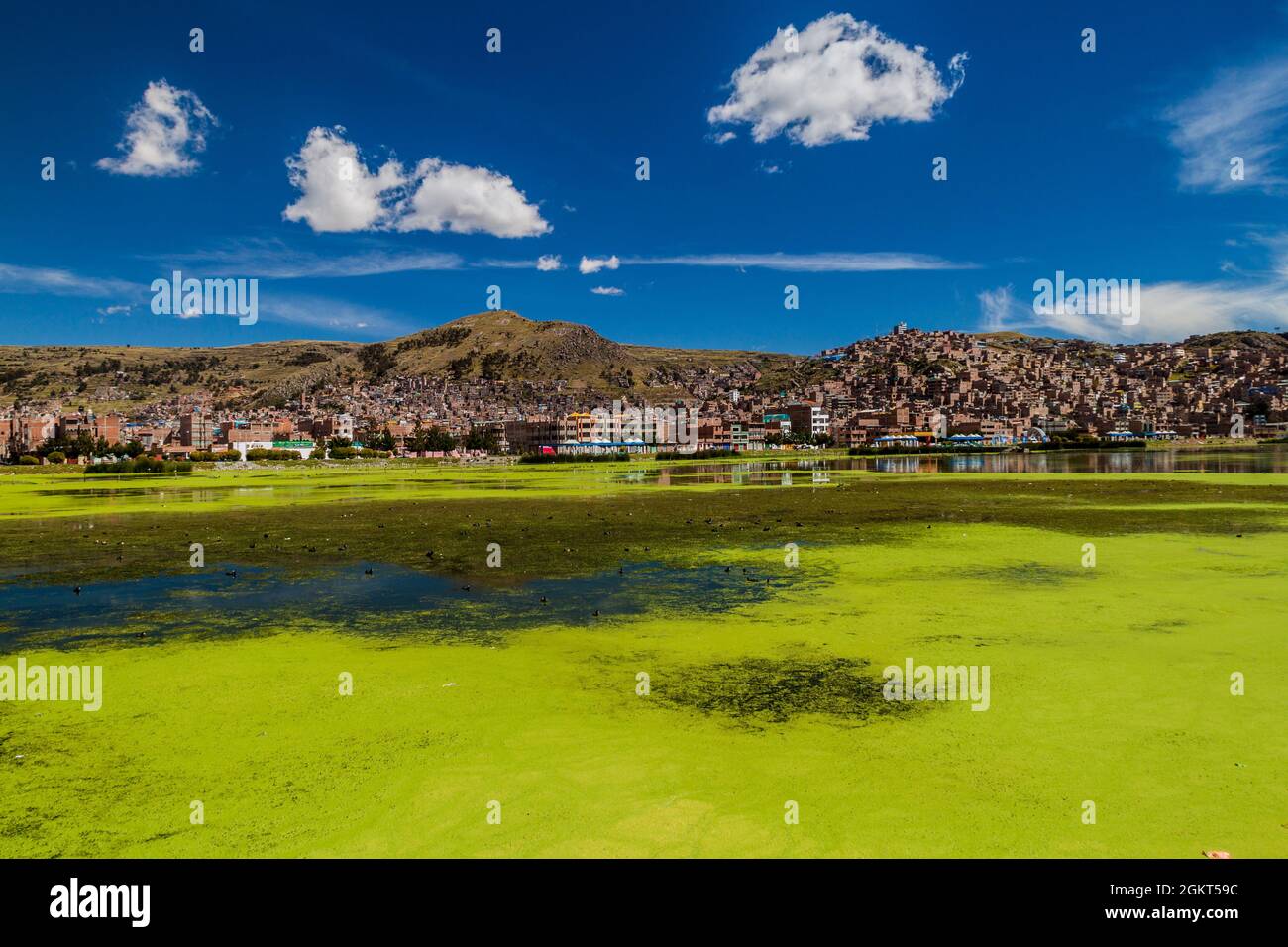 Harbor in Puno with the city in the background, Peru Stock Photo - Alamy
