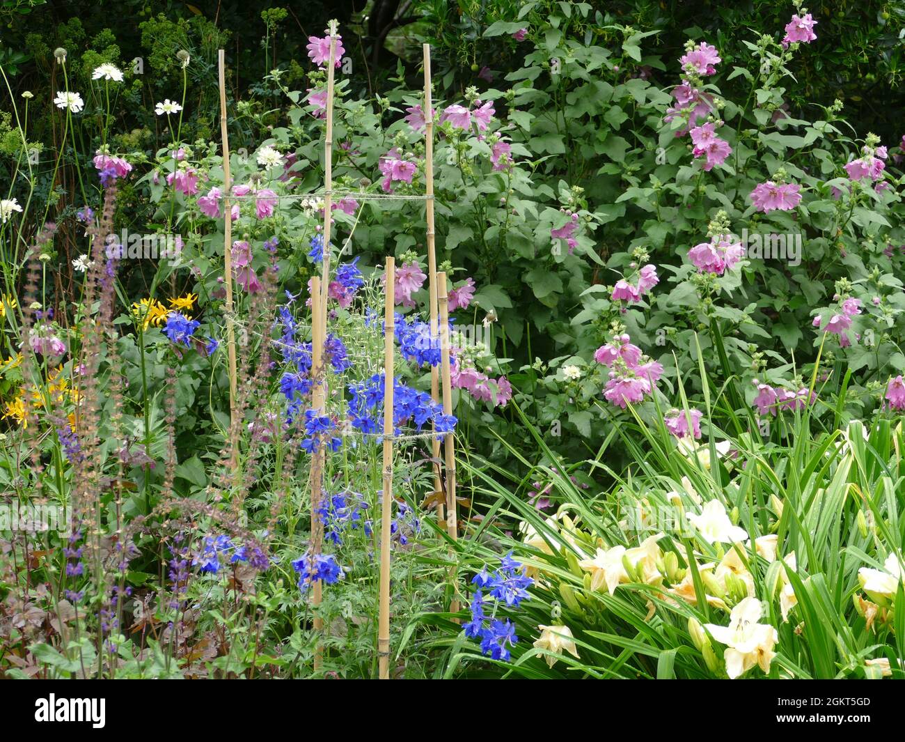 Shaded garden border hi-res stock photography and images - Alamy