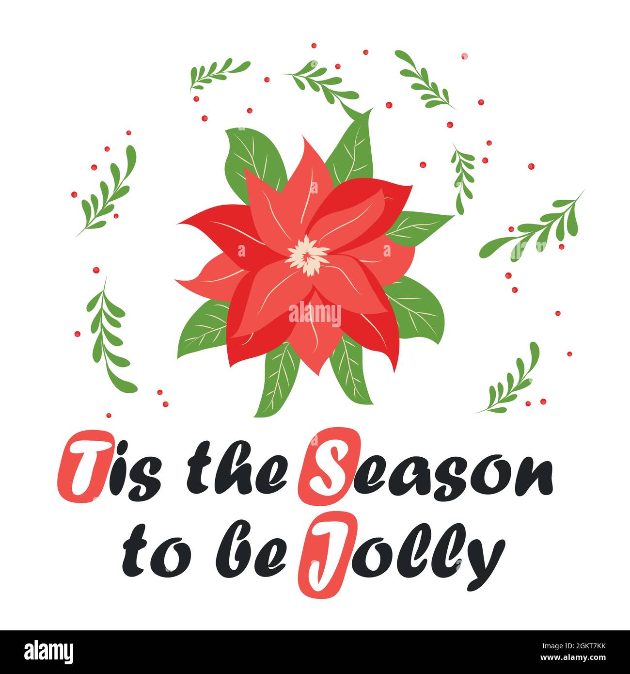 Traditional Christmas poinsettia flower with green leaves and red ...