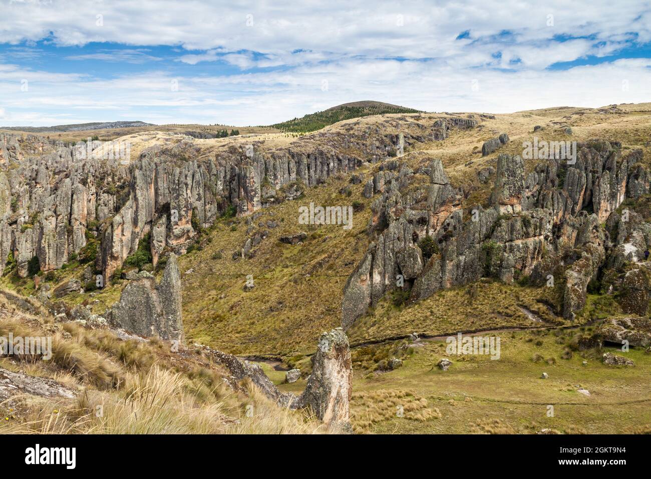 Los Frailones (Stone Monks), rock formations near Cajamarca, Peru Stock ...