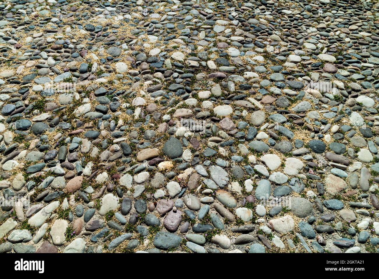 Detail of a cobbled pathway Stock Photo - Alamy