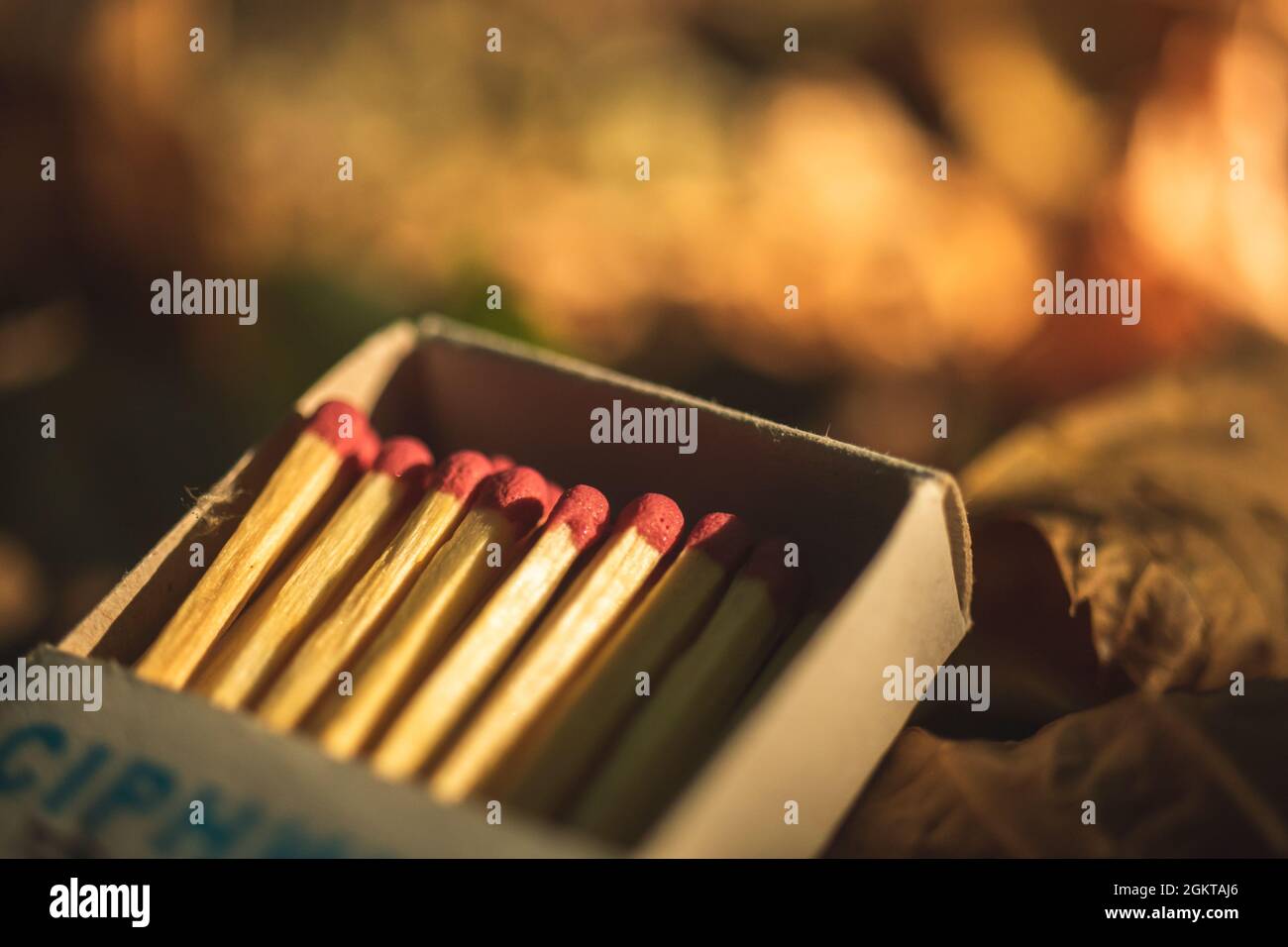 Red matches in box on dry forest leaves photo Stock Photo - Alamy