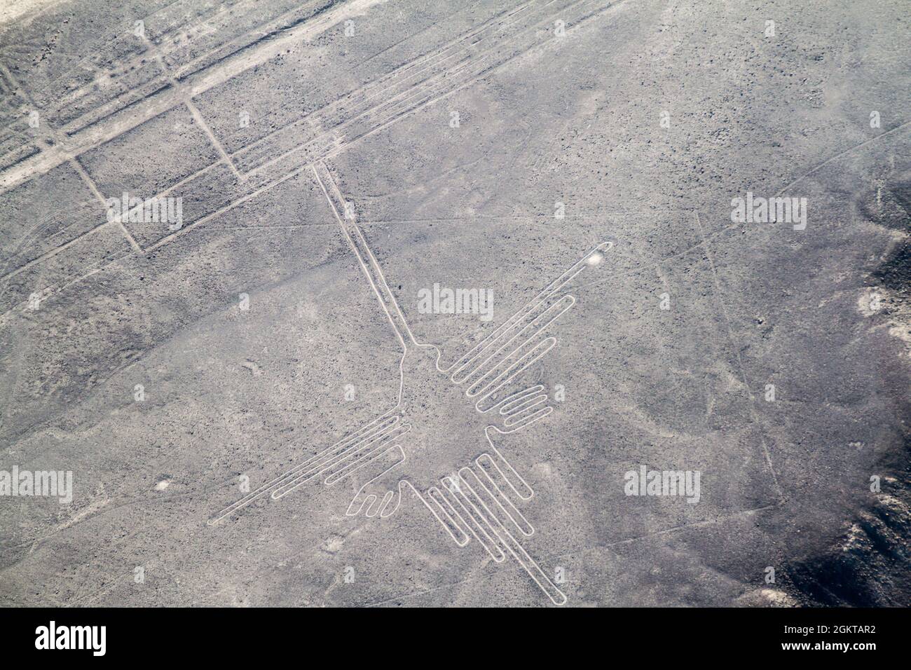 Aerial view of geoglyphs near Nazca - famous Nazca Lines, Peru. In the ...
