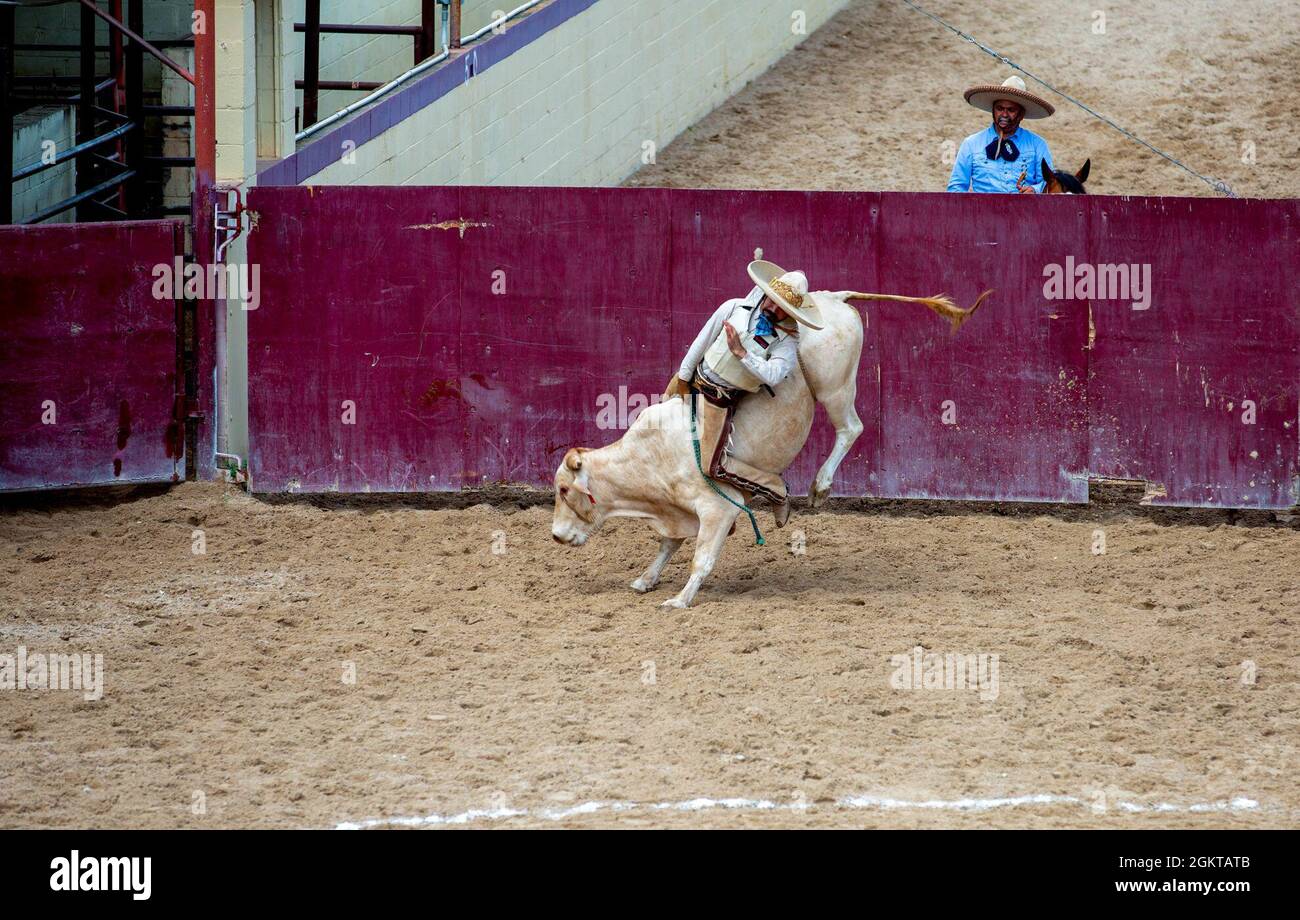 Charreada hi-res stock photography and images - Alamy