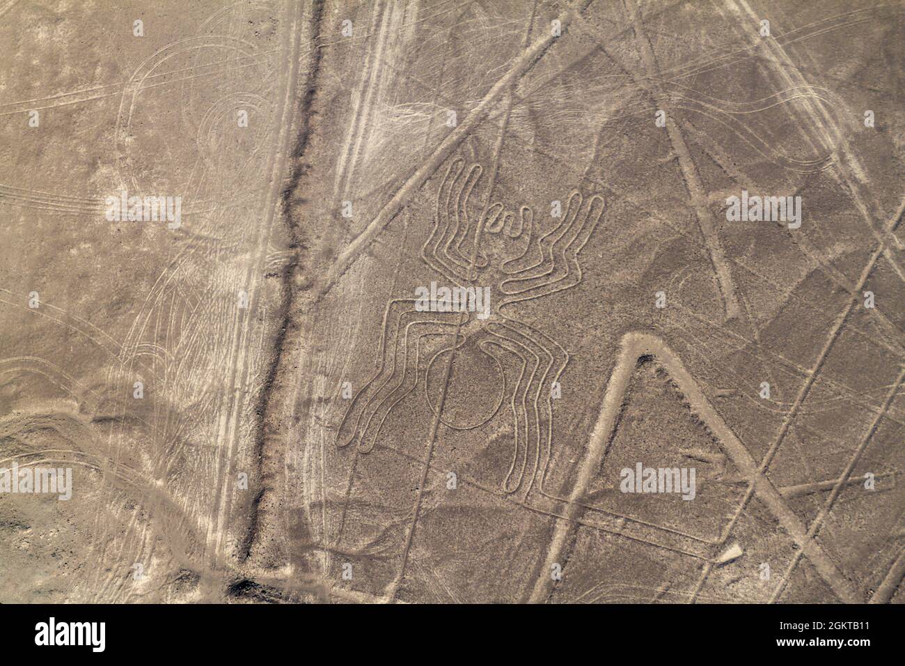 Aerial view of geoglyphs near Nazca - famous Nazca Lines, Peru. In the ...