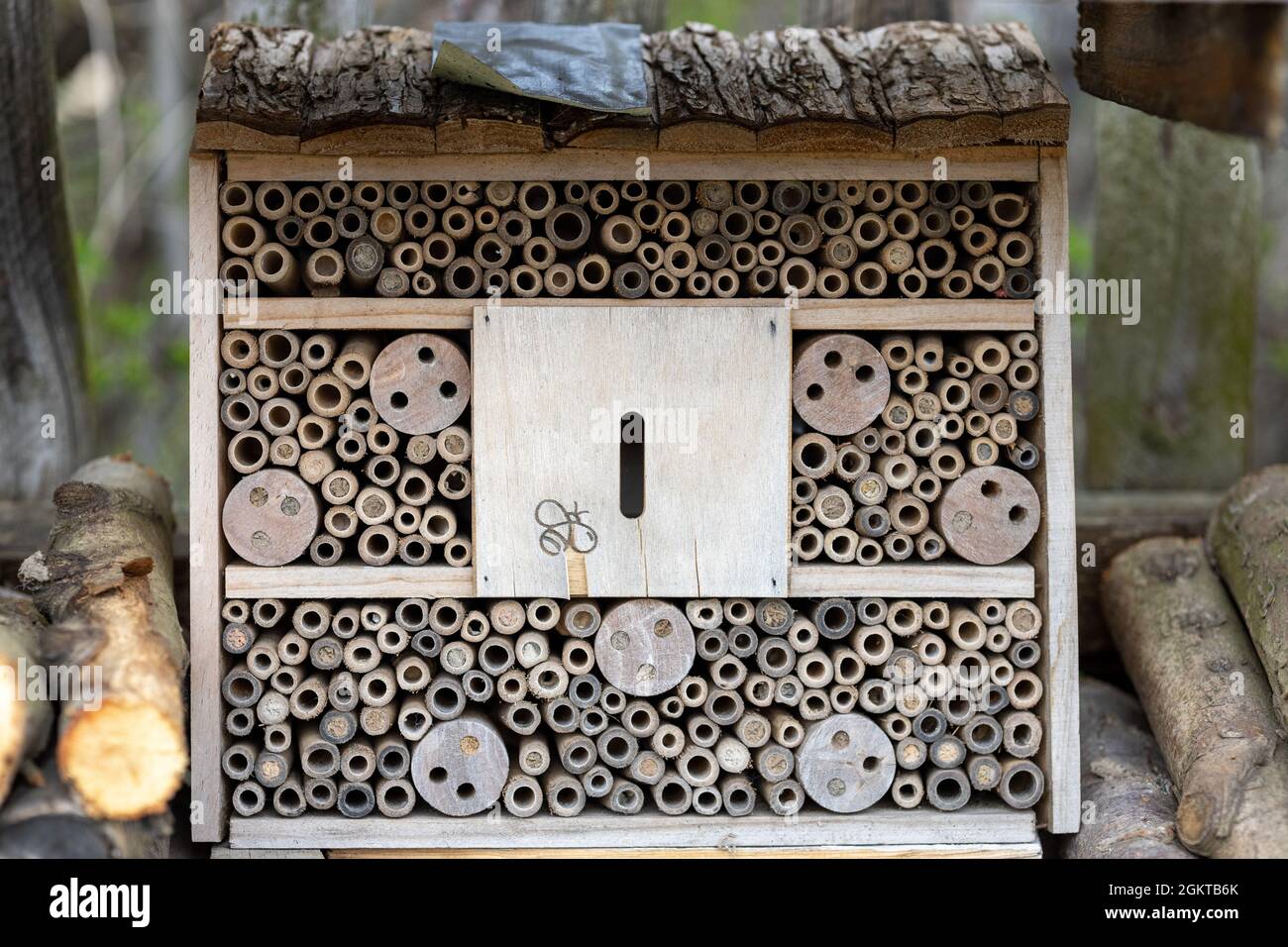 An insect house for bees, flies and all kinds of insects in the garden ...