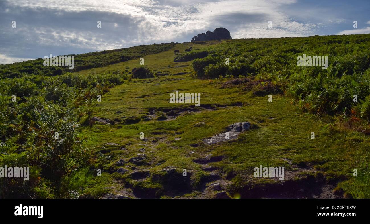 Haytor Rocks, Haytor 070921 Stock Photo - Alamy