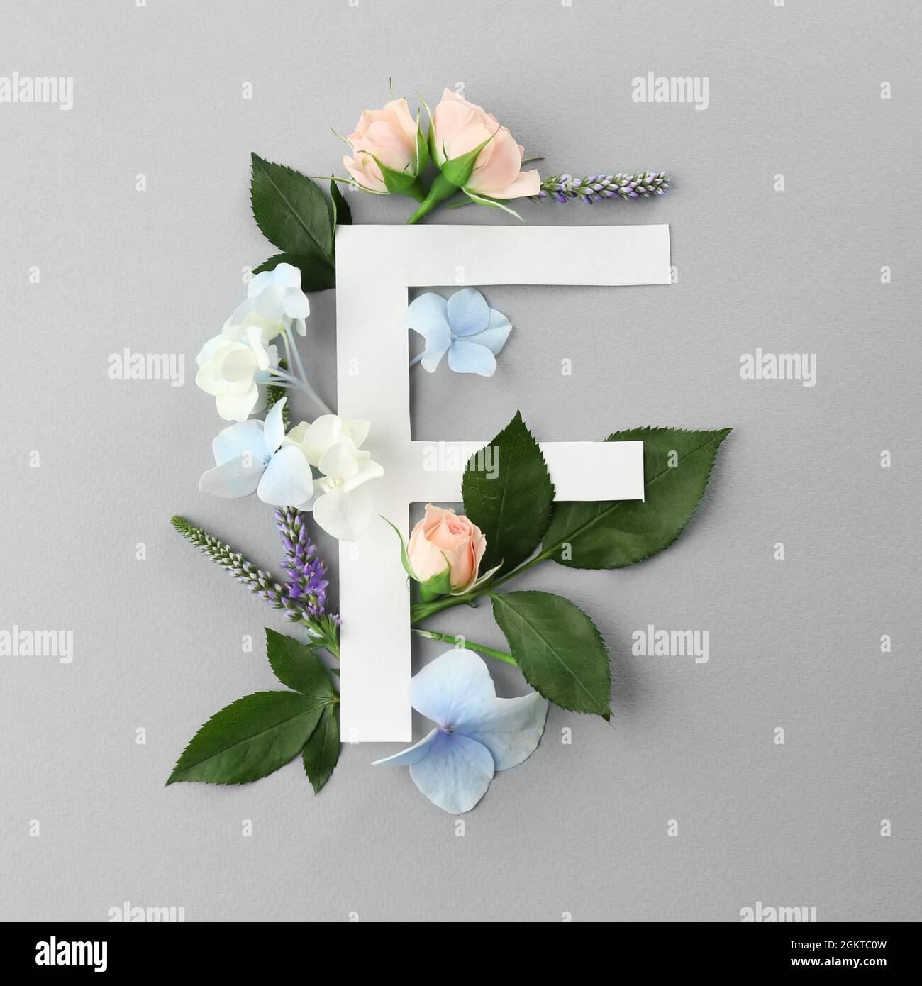 Composition with letter F and beautiful flowers on color background ...