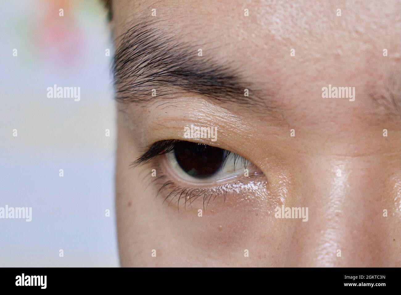 Southeast Asian, Chinese young man with single eyelid or monolid. A ...