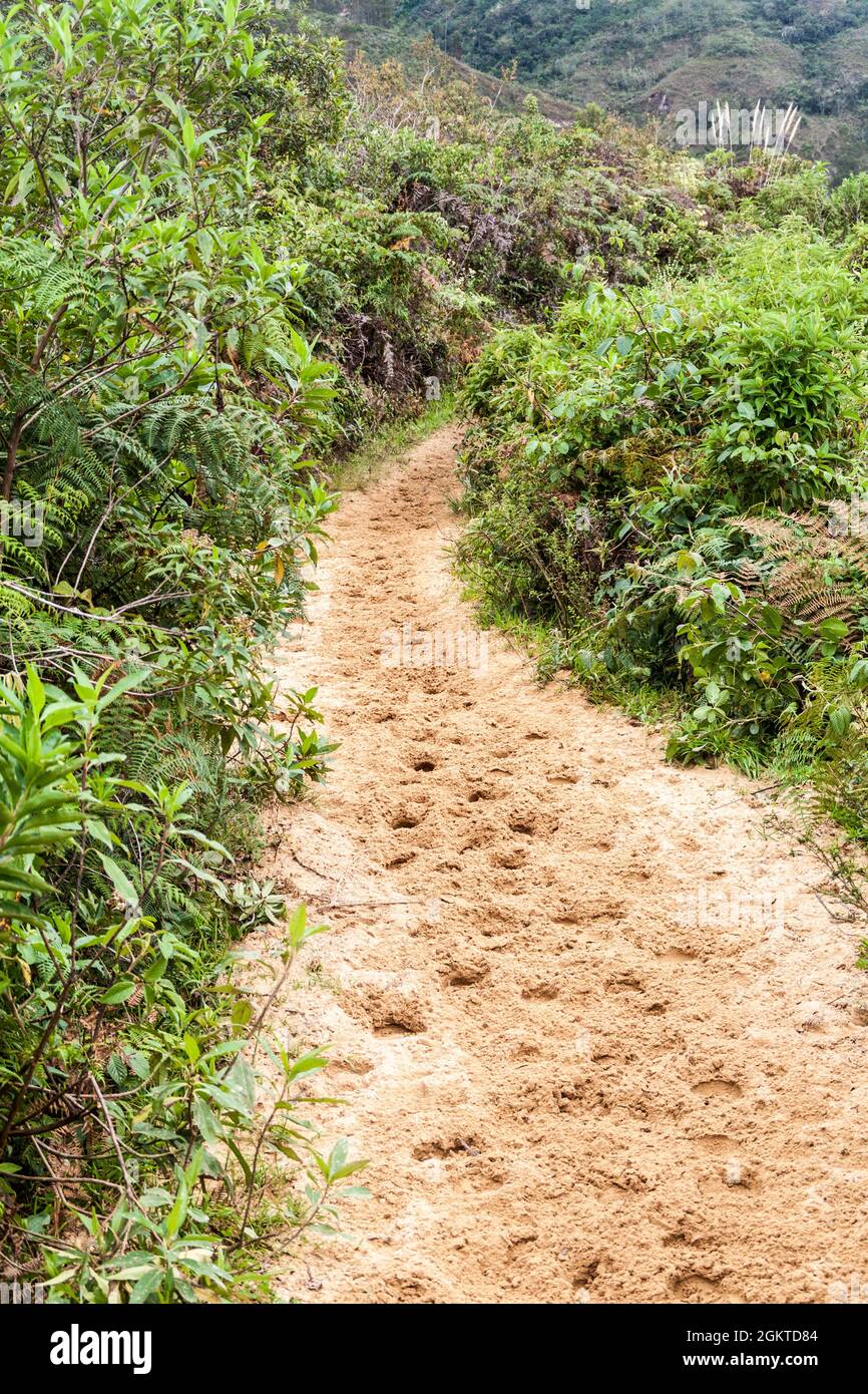 The sandy trail hi-res stock photography and images - Alamy