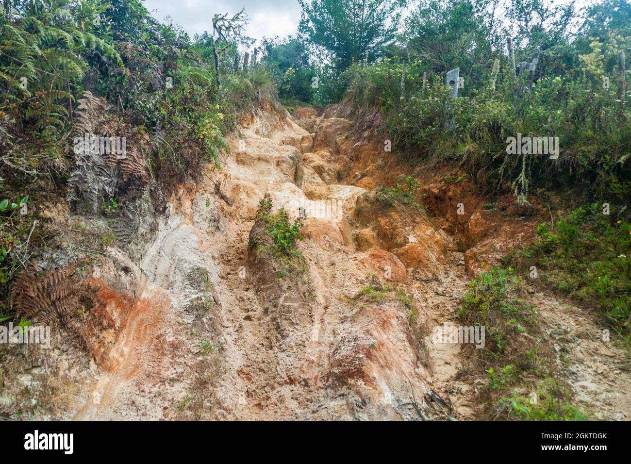 Difficult trail near Leymebamba, northern Peru Stock Photo - Alamy