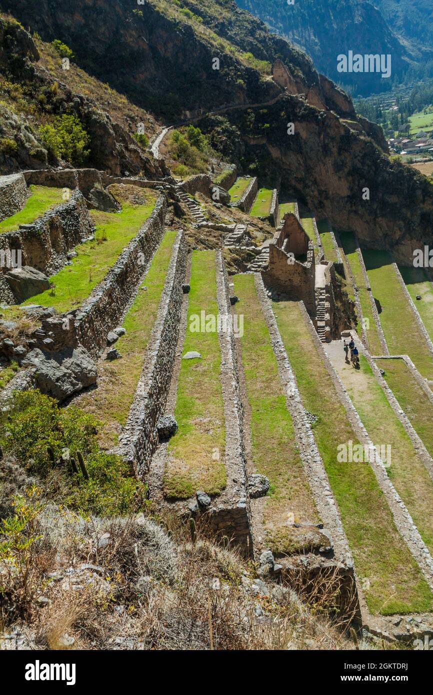 Agricultural terraces of Inca ruins of Ollantaytambo, Sacred Valley of ...