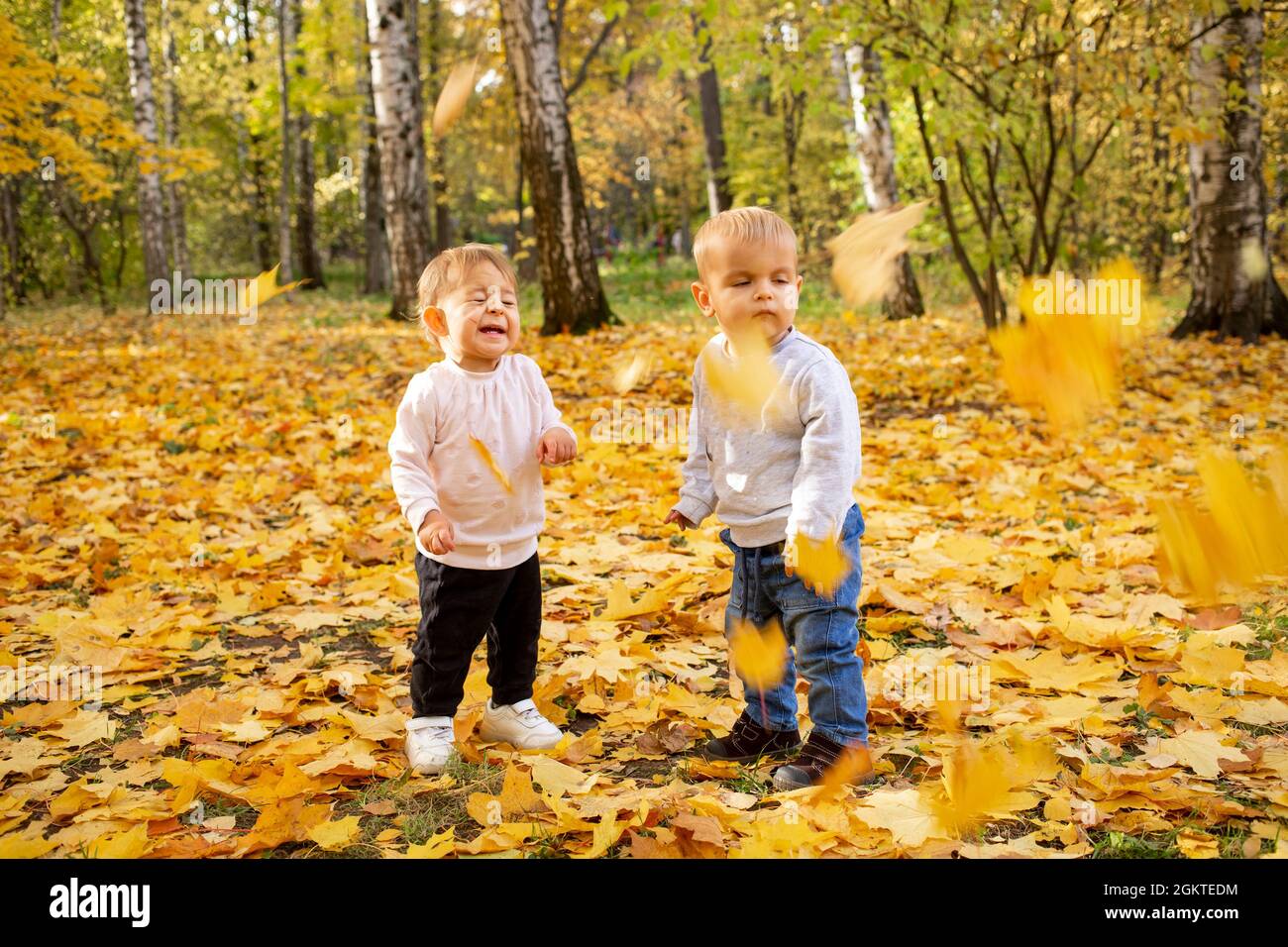 Autumn kid kids wood forest leaf fall hi-res stock photography and ...