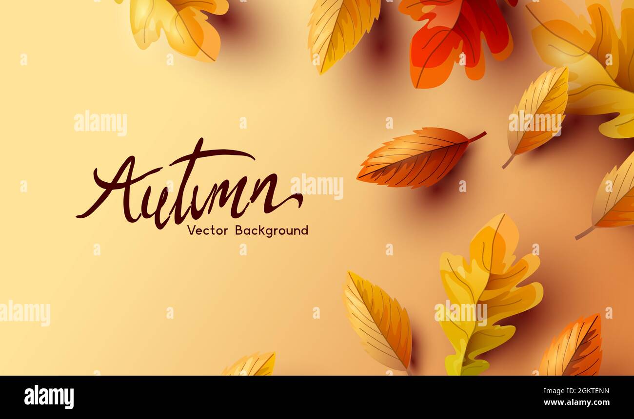 Golden Autumn fall background with of seasonal leaves. Vector ...