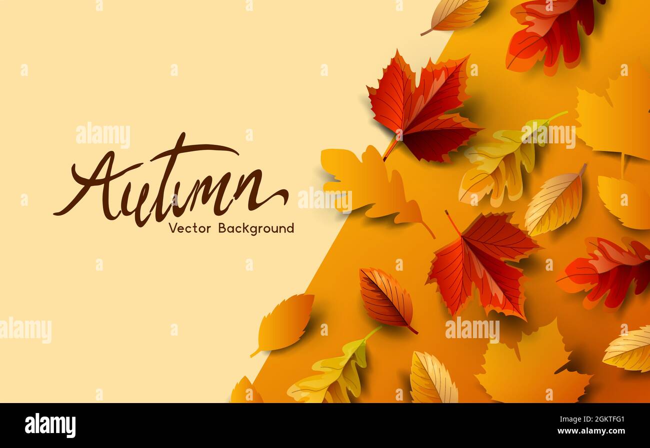 Autumn fall season background design with golden falling autumn leaves ...