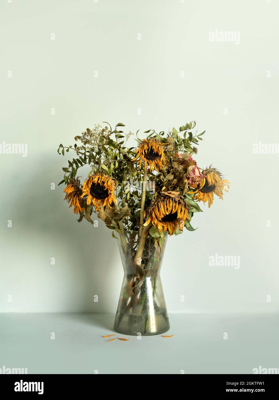 Neglected bouquet of flowers which have dried up and died Stock Photo ...