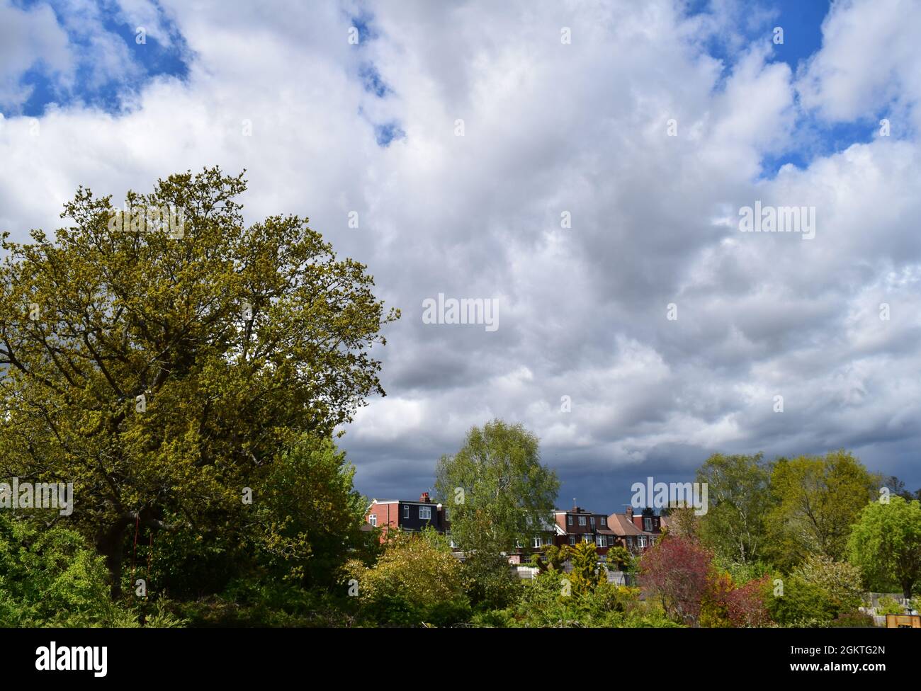 Chaotic nature High Resolution Stock Photography and Images - Alamy