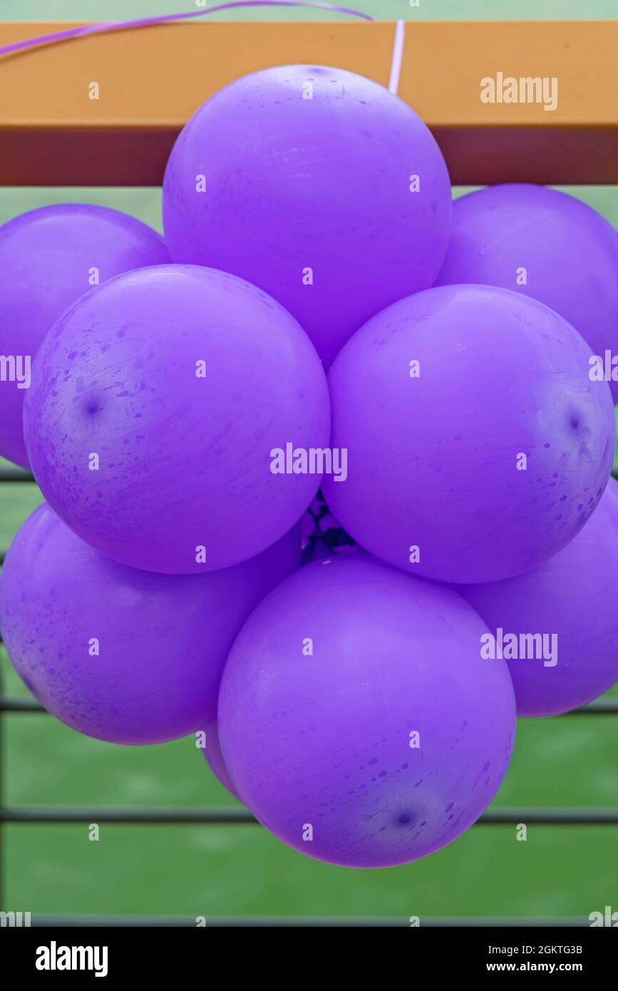 Cluster of decorative balloons hi-res stock photography and images - Alamy