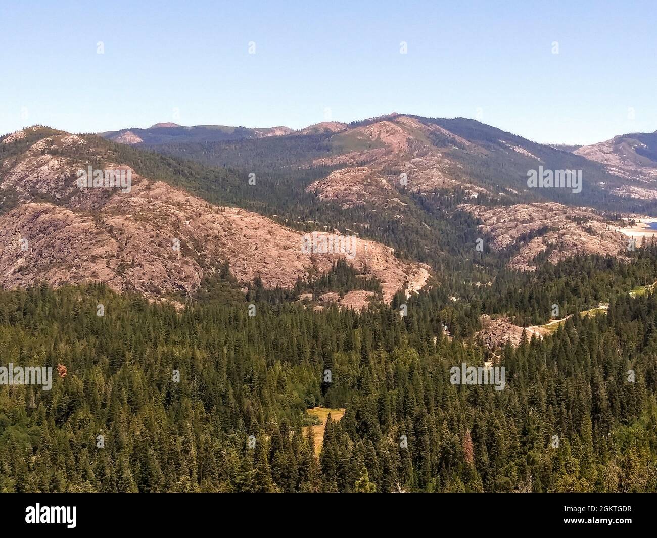 Dense area hi-res stock photography and images - Alamy
