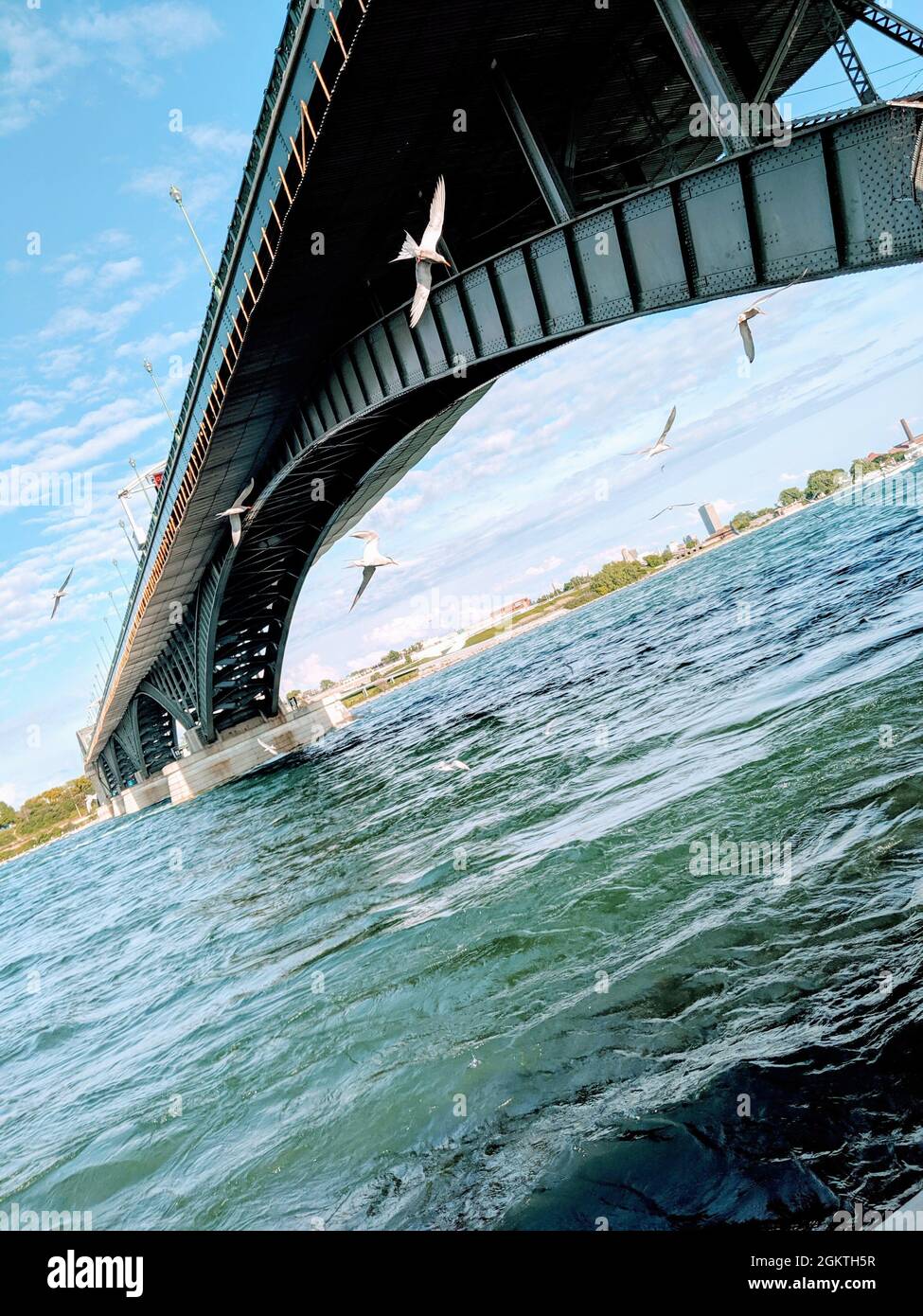 Metallic bridge over the river and flying birds Stock Photo - Alamy