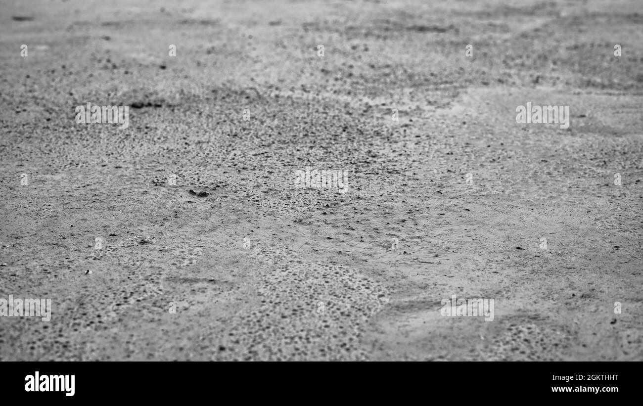 Fresh Concrete & cement texture used in construction and wall cladding ...