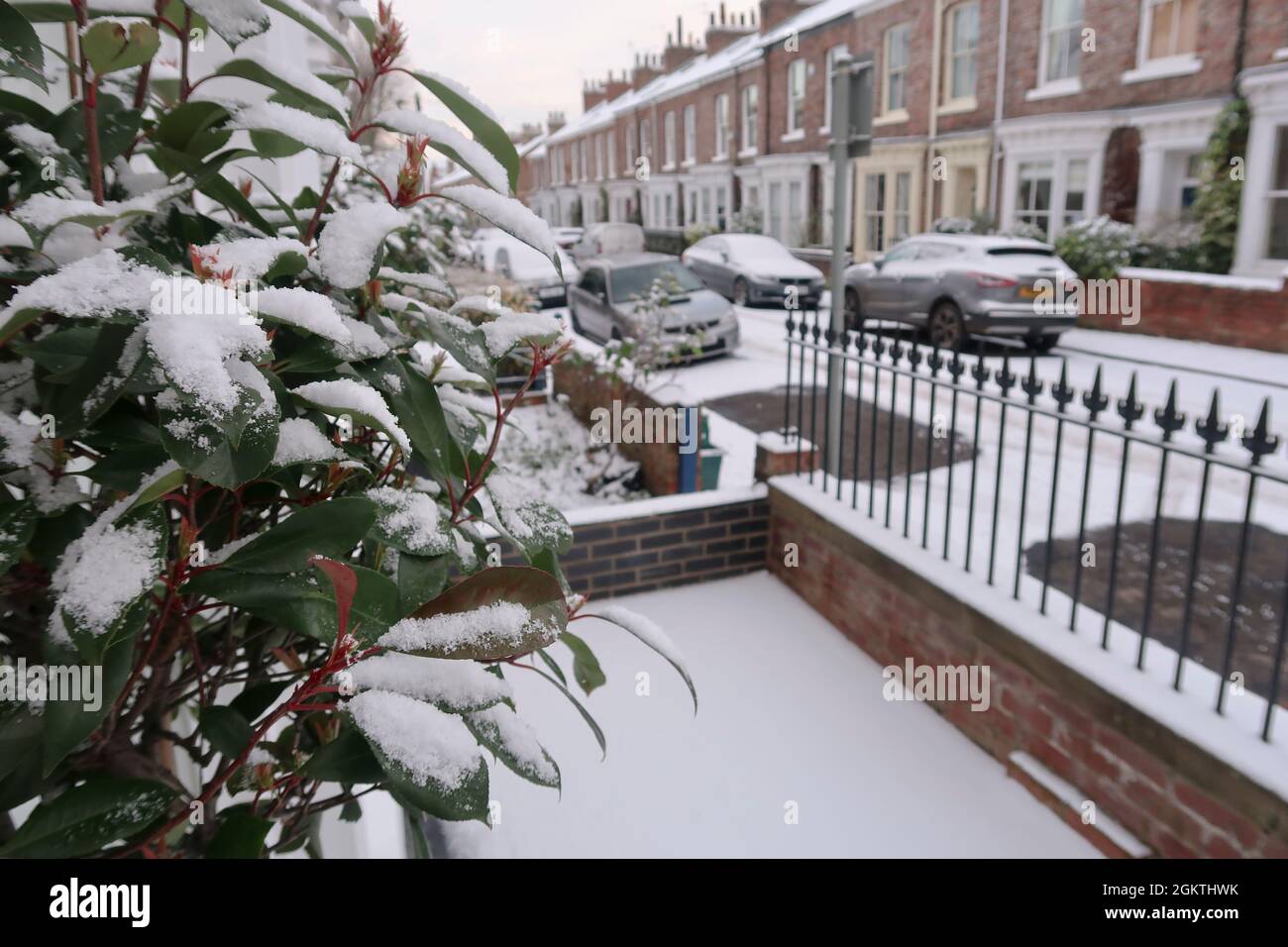 Street covered in snow, York, UK Stock Photo - Alamy