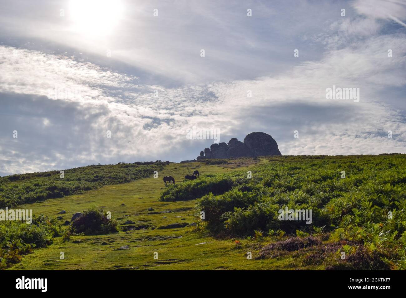 Haytor Rocks, Haytor 070921 Stock Photo - Alamy