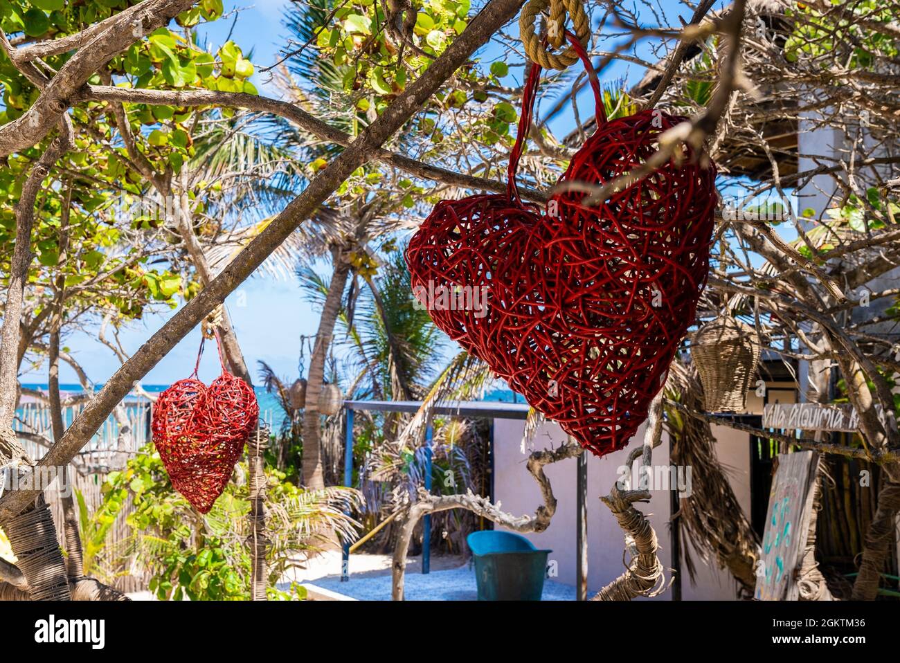 Low angle view of heart shaped object hanging from tree trunk at resort ...