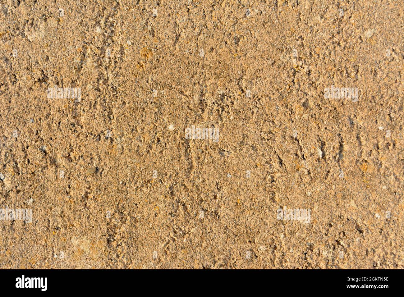 Sand stone texture details, rock surface close-up, idea for background ...