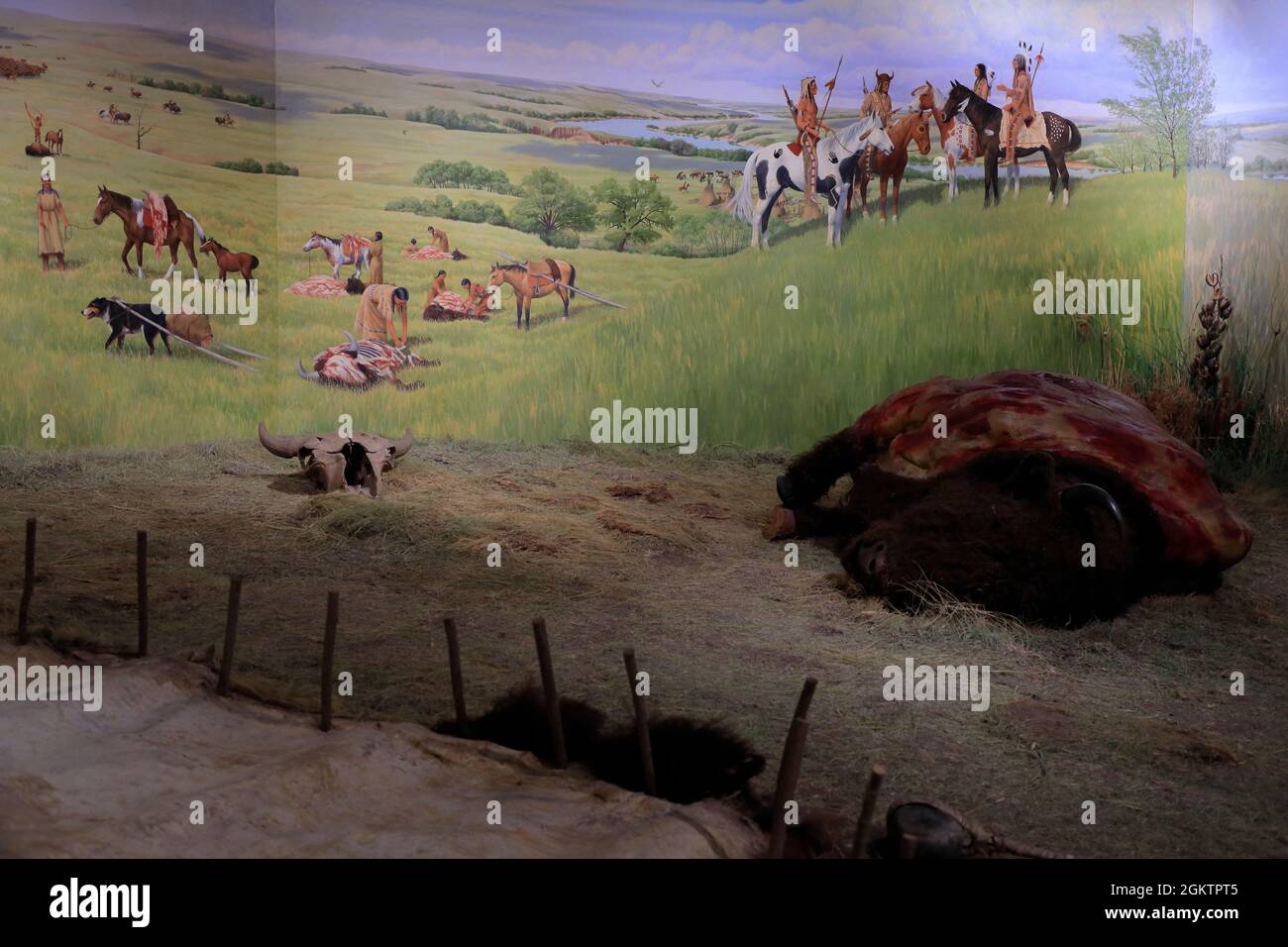 Sioux buffalo hunting hi-res stock photography and images - Alamy