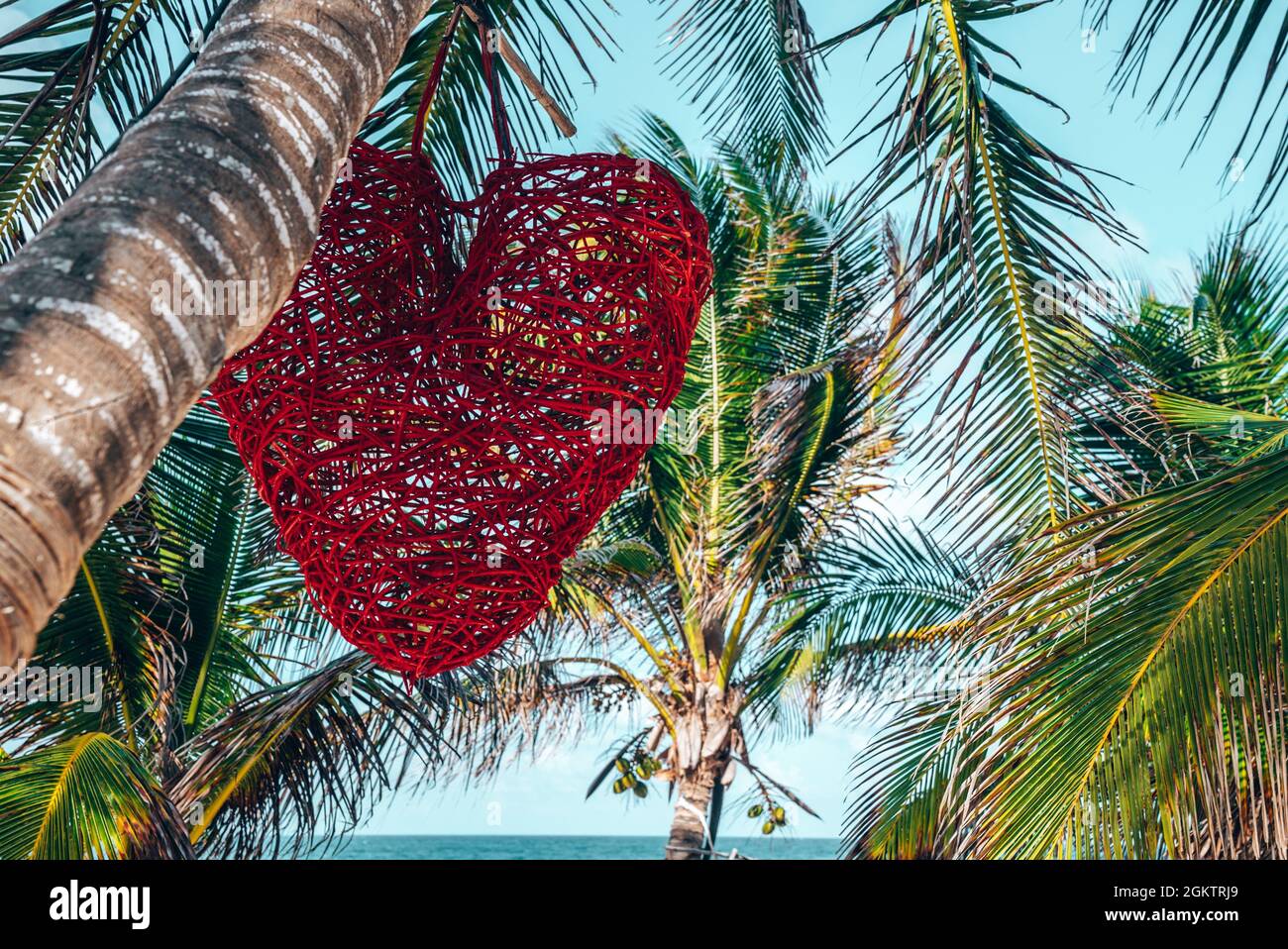 Red heart shape decor hanging on coconut tree in front of sea Stock ...
