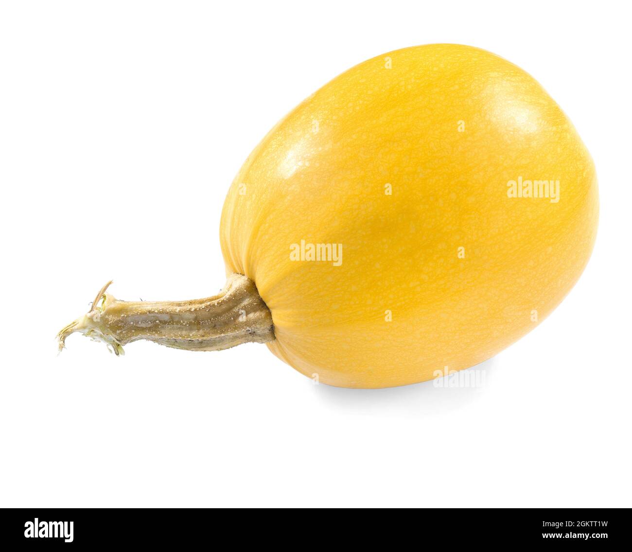 Ripe spaghetti squash on white background Stock Photo - Alamy