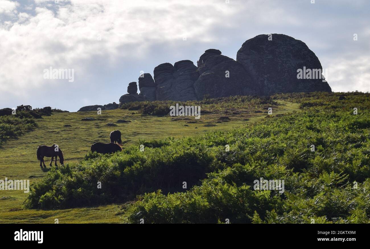 Haytor Rocks, Haytor 070921 Stock Photo - Alamy