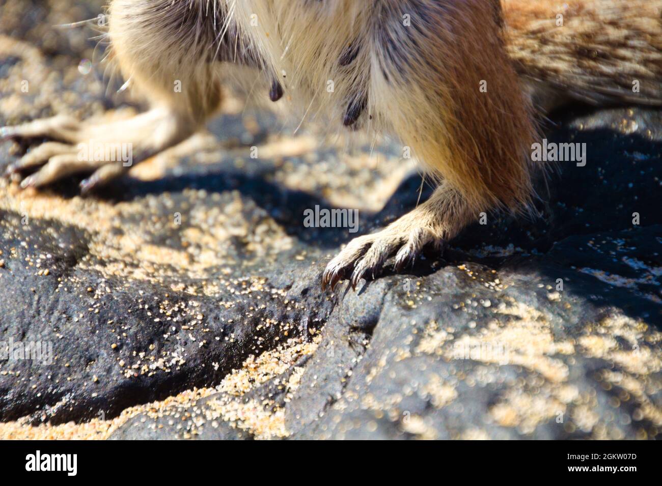 Feet on the stone hi-res stock photography and images - Alamy